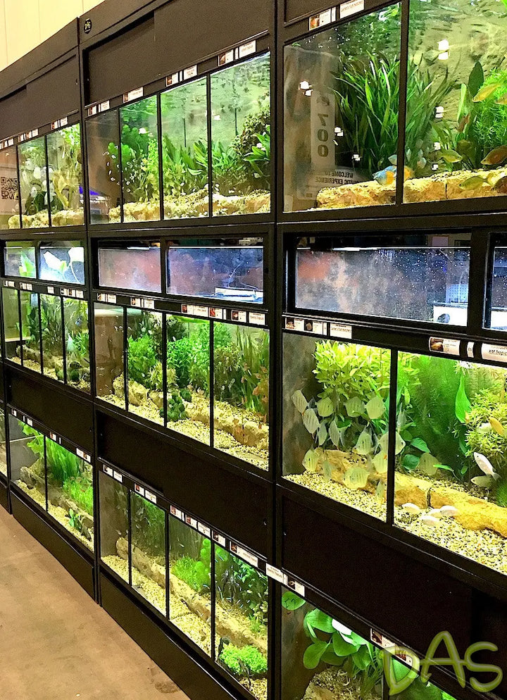 Township Pet Enclosures – DAS