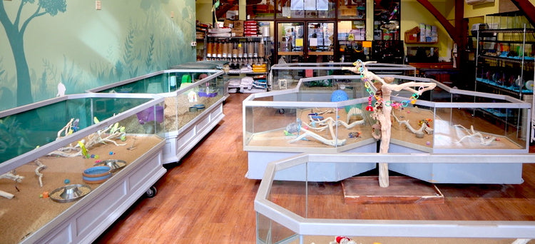 Commercial Retail Pet Display Racks and Dog or Cat Adoption Kennels – DAS