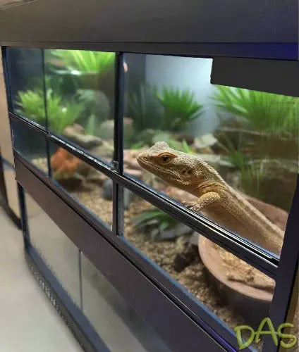 Reptile Care Commercial Display Rack – DAS