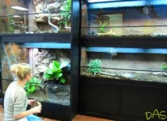 Reptile Care Commercial Display Rack – DAS