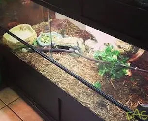 Reptile Care Commercial Display Rack – DAS