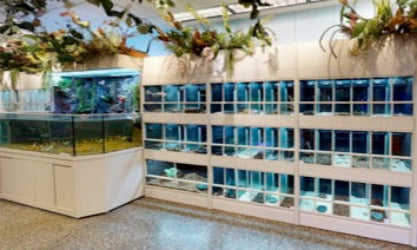 Reptile Care Commercial Display Rack – DAS